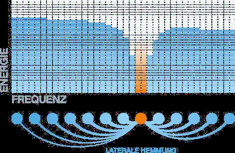 Tinnitus München Behandlung Ursachen und Diagnose - Dr. Schuster HNO